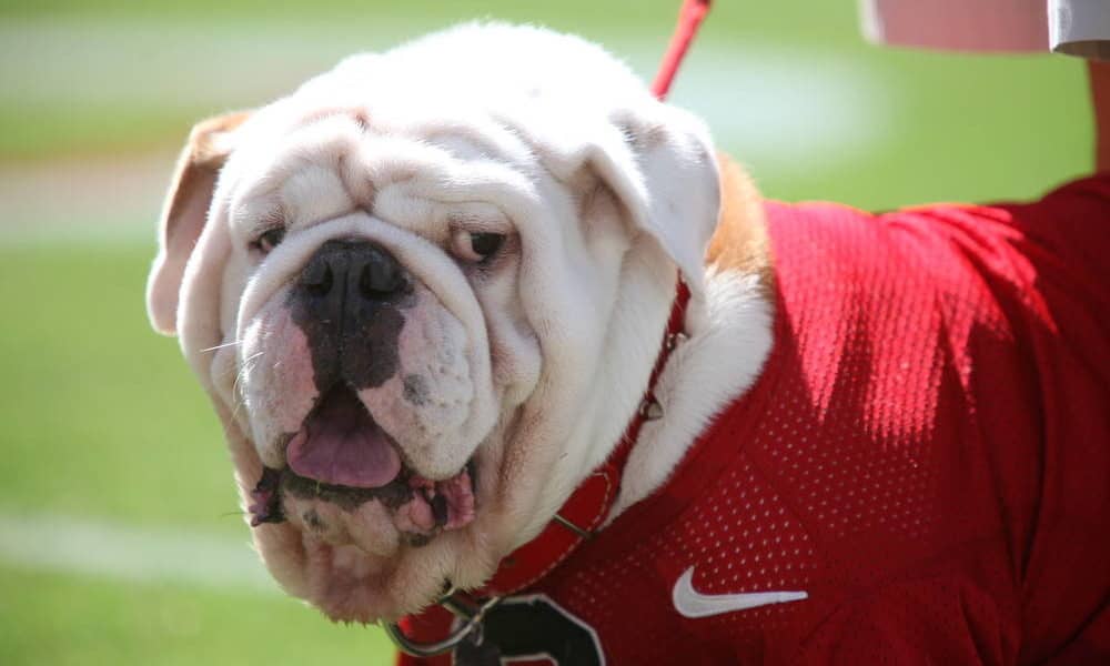 Uga IX, "Russ," has passed away