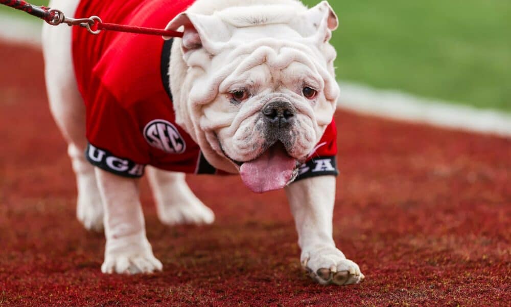 2023 UGA football signees and bios