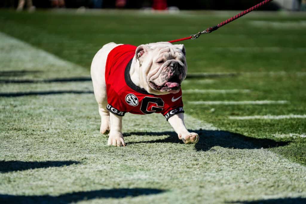 2025 Georgia football signees and bios
