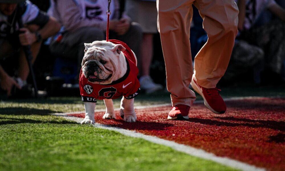 UGA Football | Georgia Bulldogs | SicEmDawgs.com